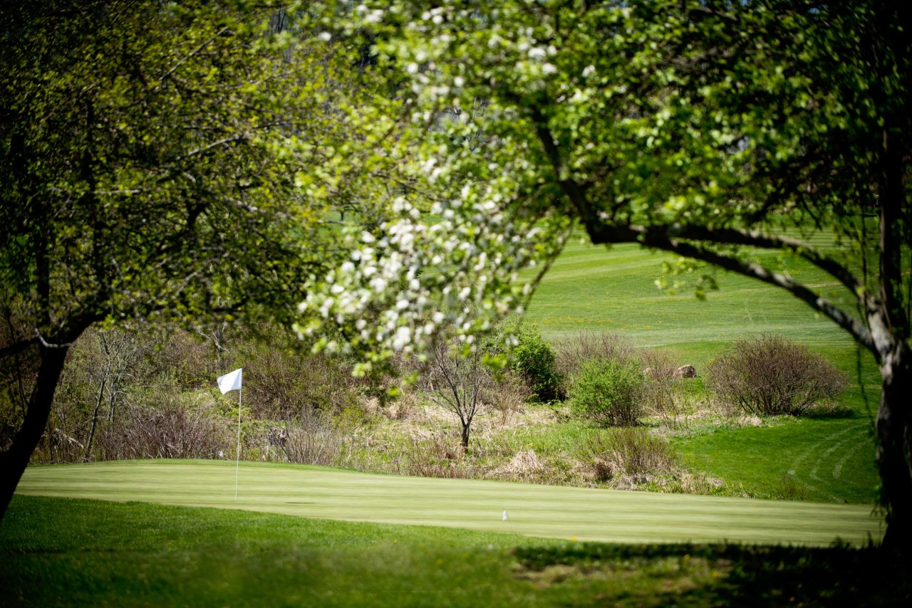 Gallery | The Ridge Golf Club